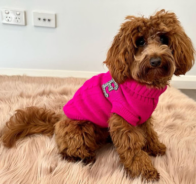 PERSONALIZED DOG JUMPER VEST