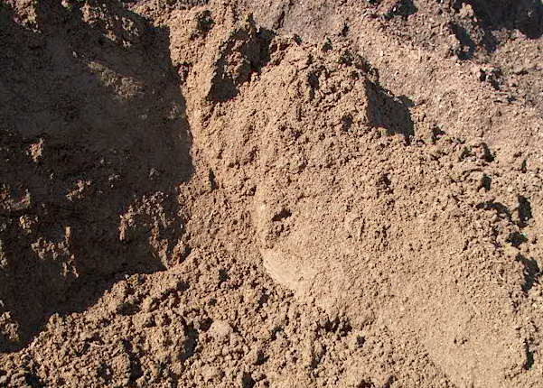 Loam, compost, topsoil, screened loam, garden soil for MA delivery