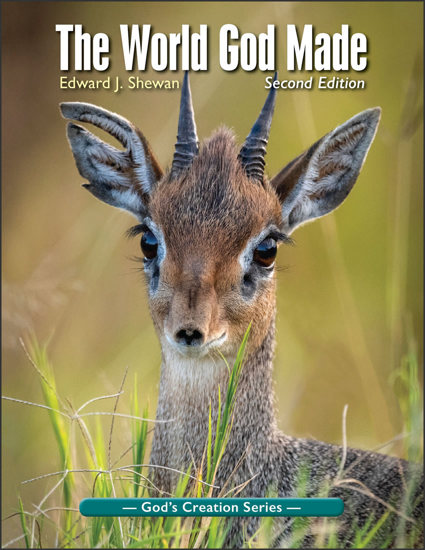 Little Pilgrims in God's World - Christian Liberty