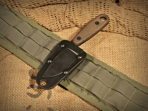 MOLLE-LOCK - 2" - Sagewood Gear
