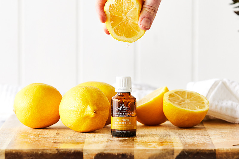 6 of the Best Essential Oils for Cleaning - Oil Garden