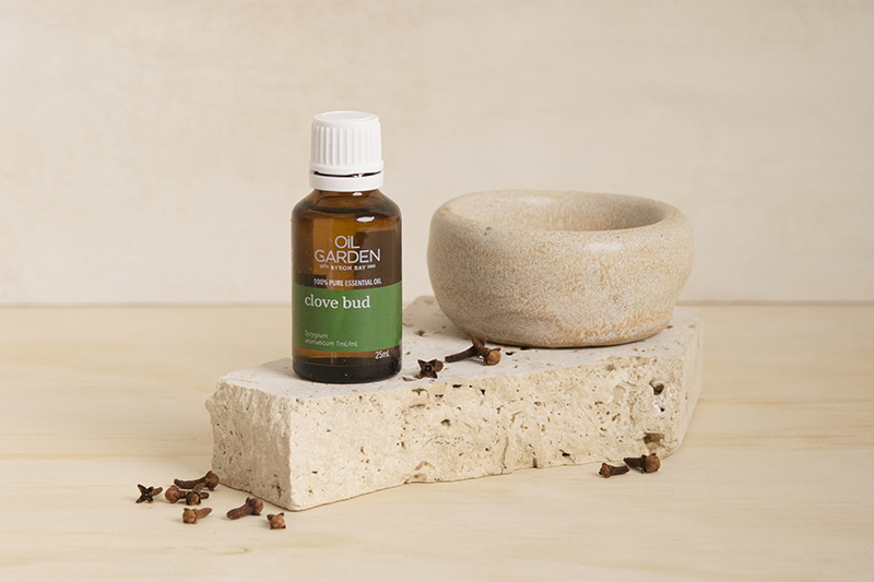 How to Use Clove Essential Oil for Mould Removal - Oil Garden