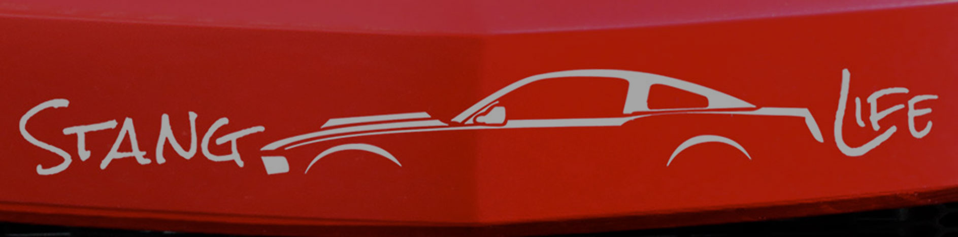 Stang Life Decals | Steeda