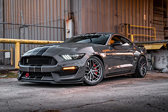 Team Steeda Racers & Enthusiasts | Steeda