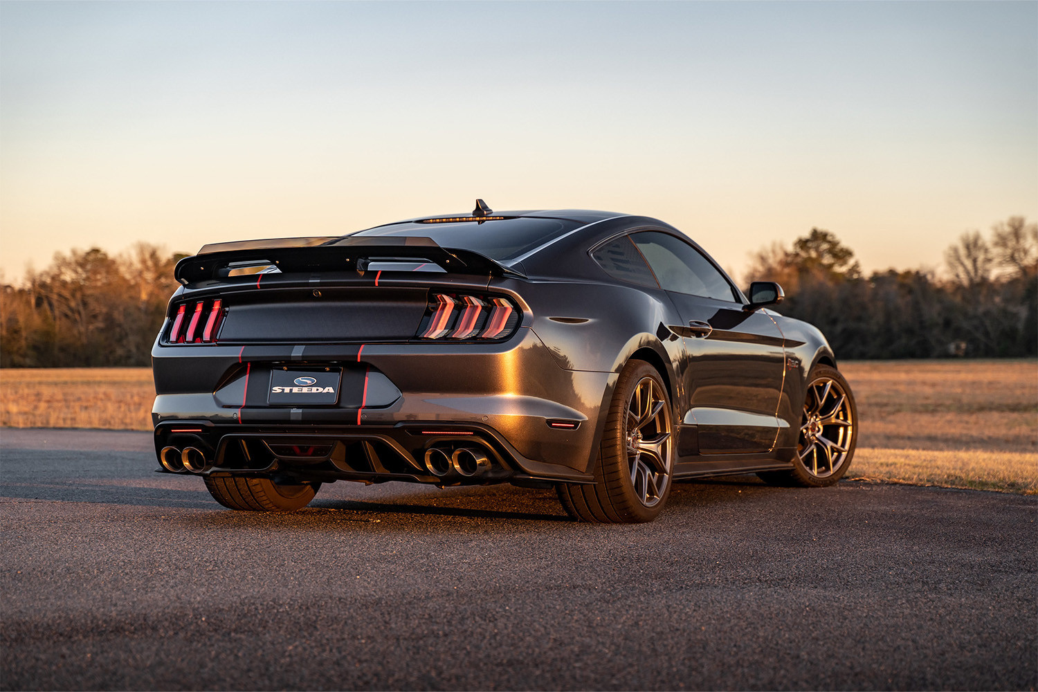 Mustang GT500 Style Spoiler w/ Tinted Wicker Bill - Gloss Black (15-23)