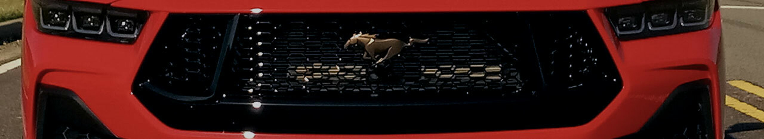 2024+ Mustang Decals & Emblems | Steeda