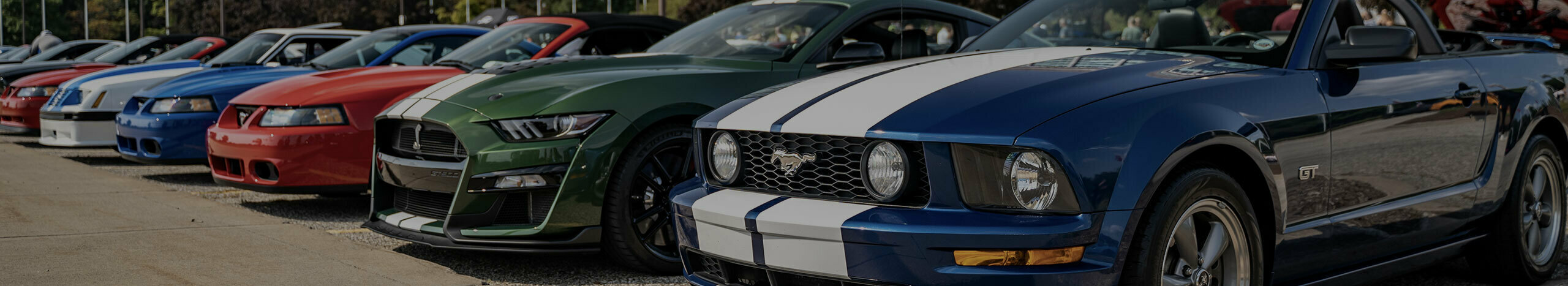 Mustang Suspension Packages & Kits | Steeda