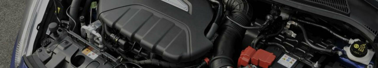 2011-2019 Fiesta Engine | Steeda