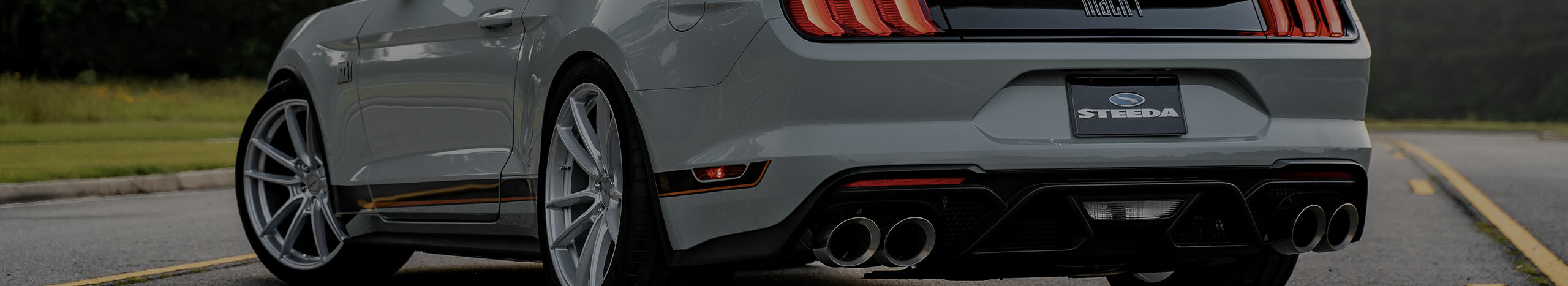 New Products | Steeda - Page 3