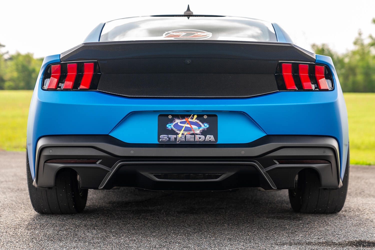 Steeda Atomic License Plate, 213 0000