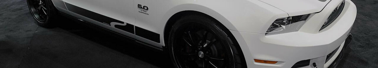 2011-2014 Ford Mustang Dress Up | Steeda