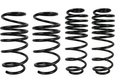 H&R Ford Fiesta Lowering Springs (11-14), 51641 - Steeda