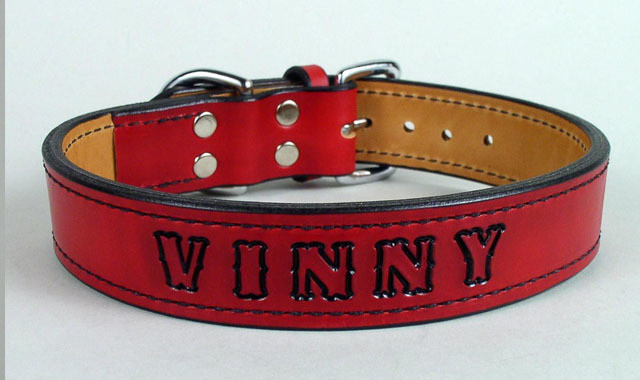 Custom Personalized Dog Collars