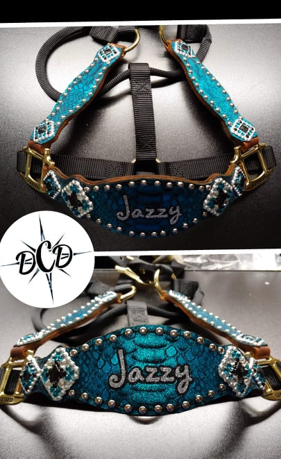 Teal python halter