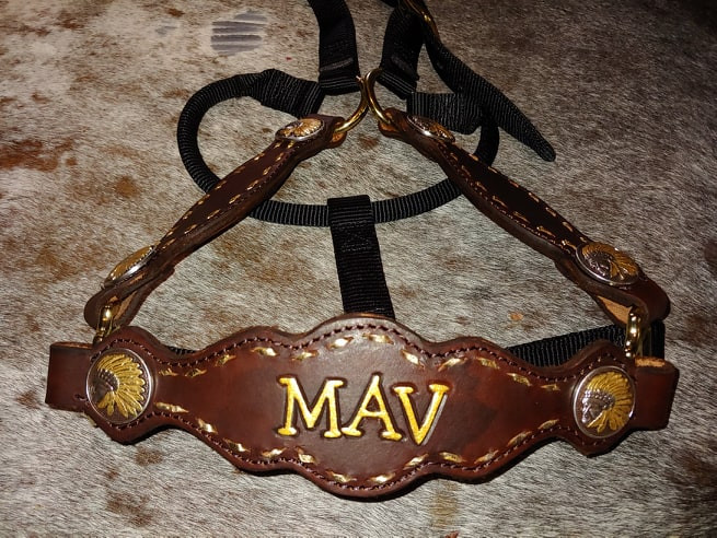 Quick Order Gold Buckstitch Name Halter