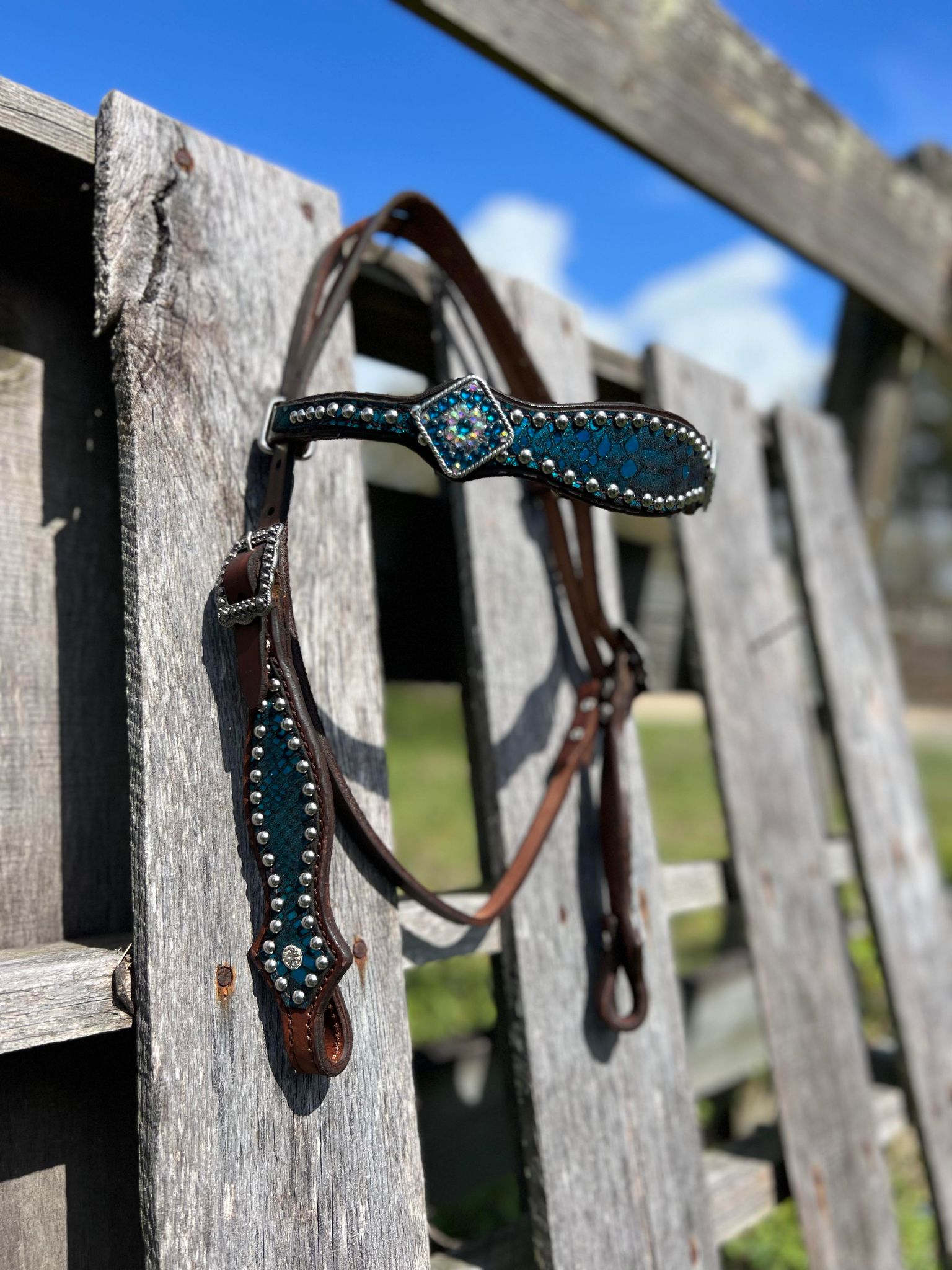 Teal Python Gladiator Spotted Tack Set***