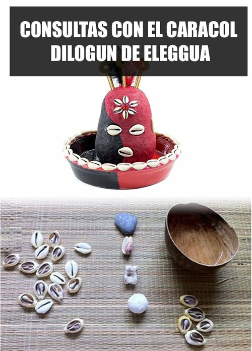 Cowrie-shell divination - Botanica Caridad
