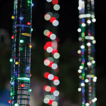 Mini Lights | Shop Christmas, LED, Incandescent Mini Lights & more