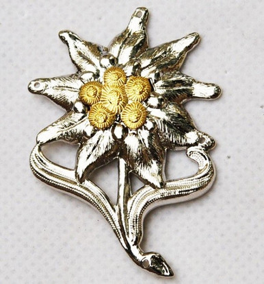 German Mountain Troops Edelweiss Badge - SARCO, Inc