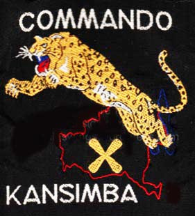 10th Commando Shoulder Patch - SARCO, Inc