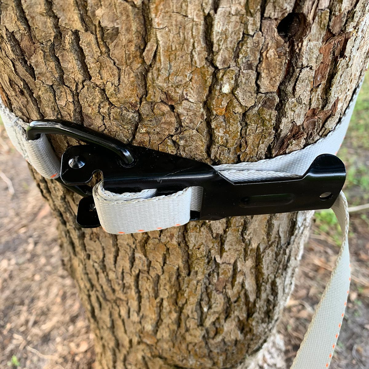 Over Center Cam Buckle with Strap by Treehopper