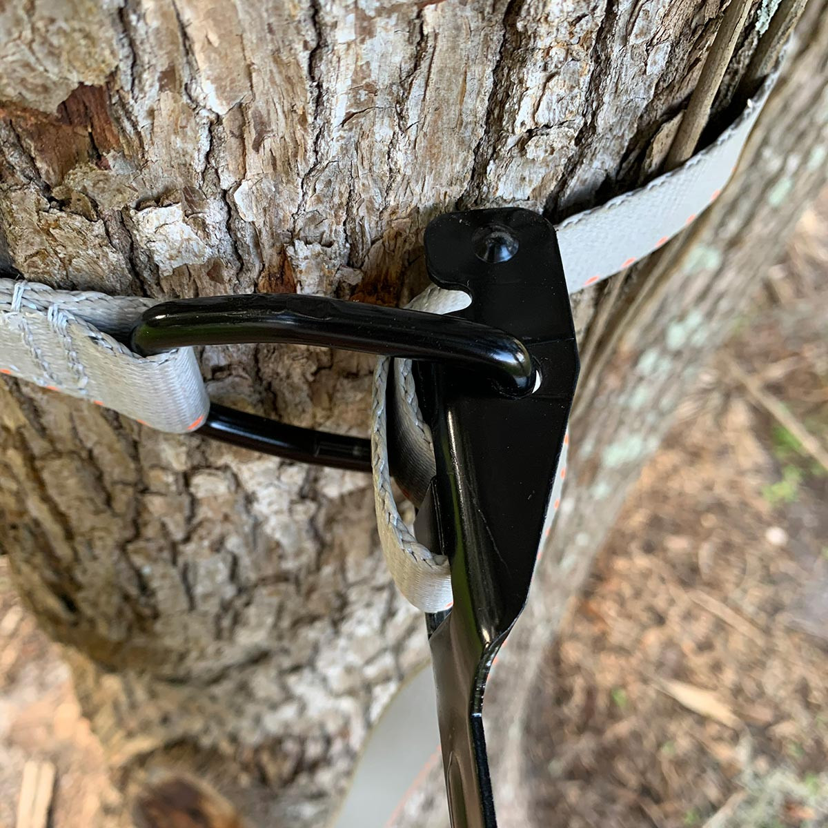 Over Center Cam Buckle with Strap by Treehopper