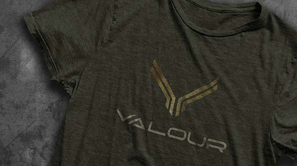 Valour LTD