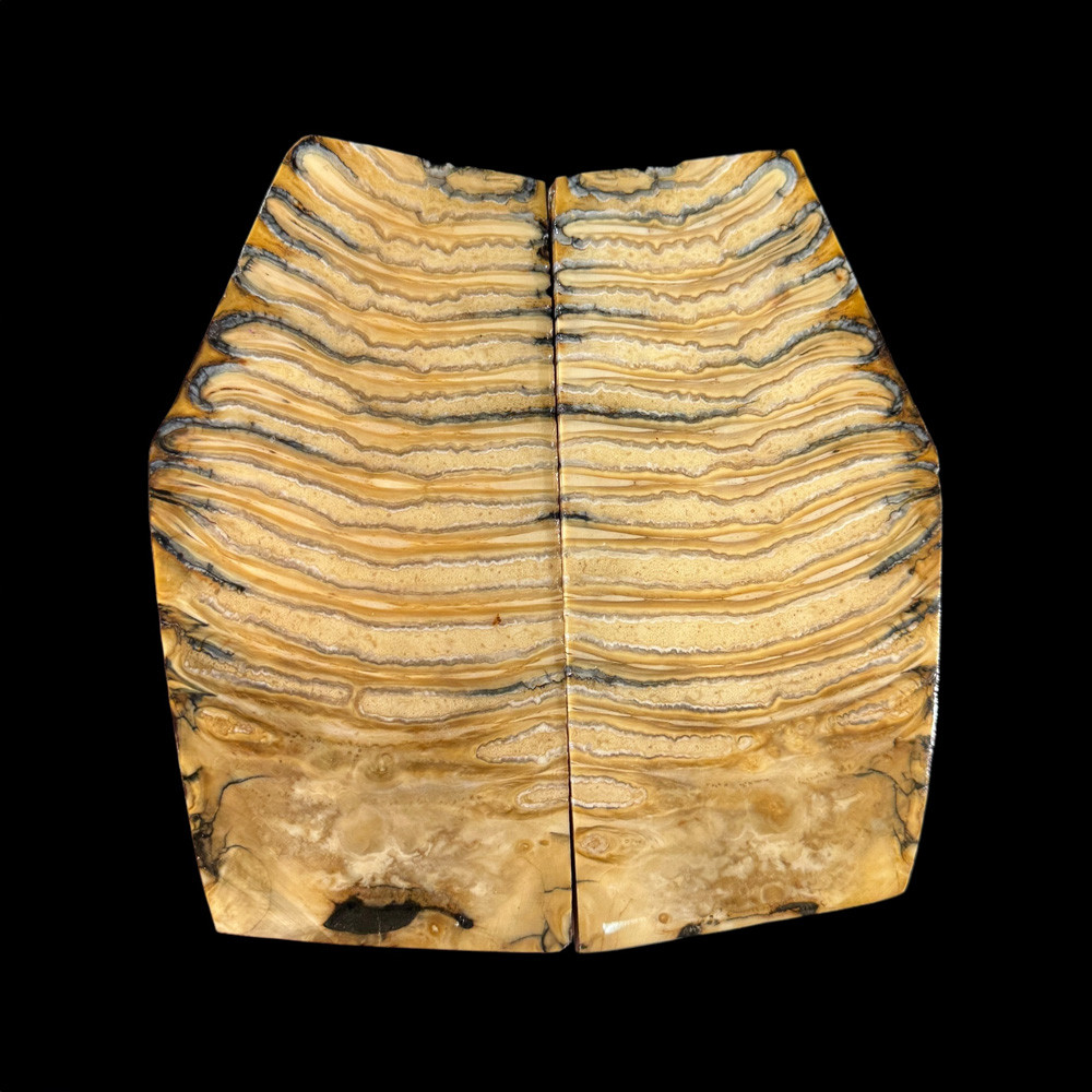 Unique and Durable Mammoth Tooth Scales: Elevate Your Knife or Craft ...