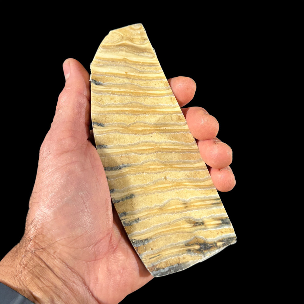 Unique and Durable Mammoth Tooth Scales: Elevate Your Knife or Craft ...