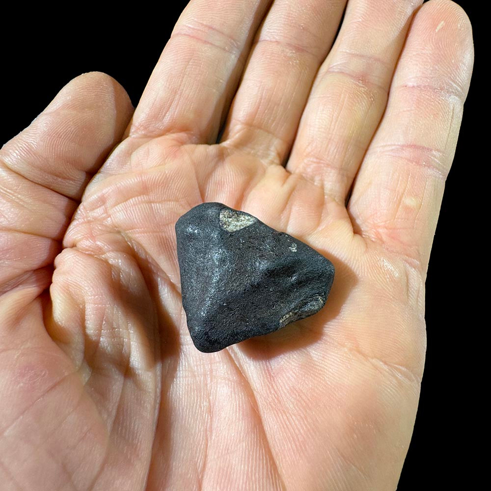 Chelyabinsk Meteorite From Russia For Sale | Fossilsplus