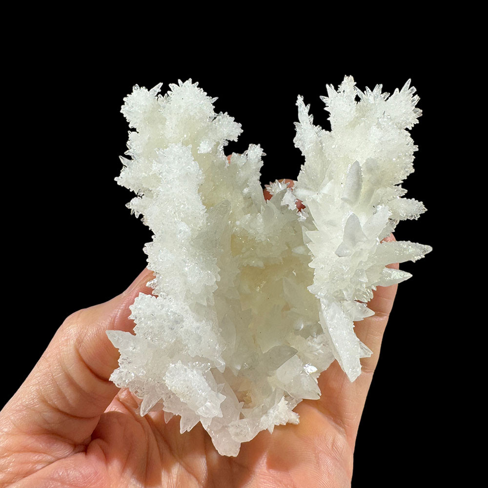 Cave Calcite (aragonite) For Sale | Fossilsplus.com/Pangaea Industries
