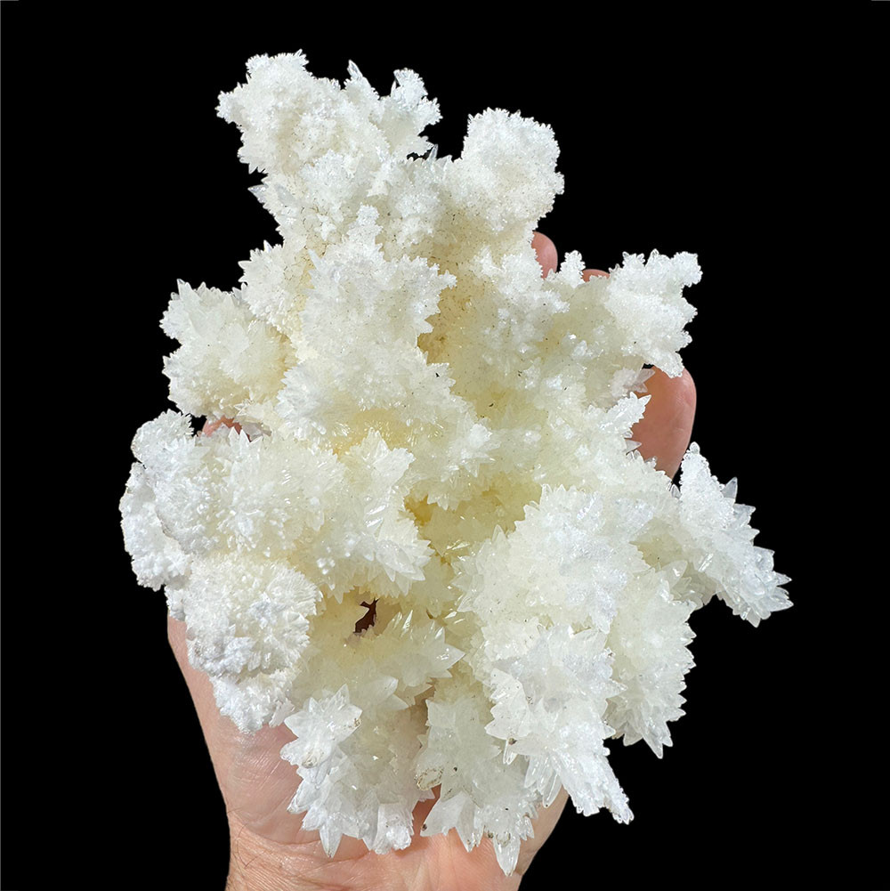 Cave Calcite (aragonite) For Sale | Fossilsplus.com/Pangaea Industries