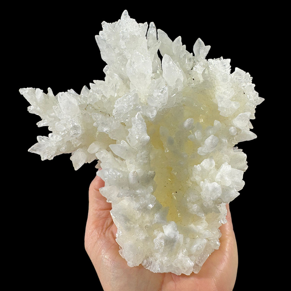 Cave Calcite (aragonite) For Sale | Fossilsplus.com/Pangaea Industries
