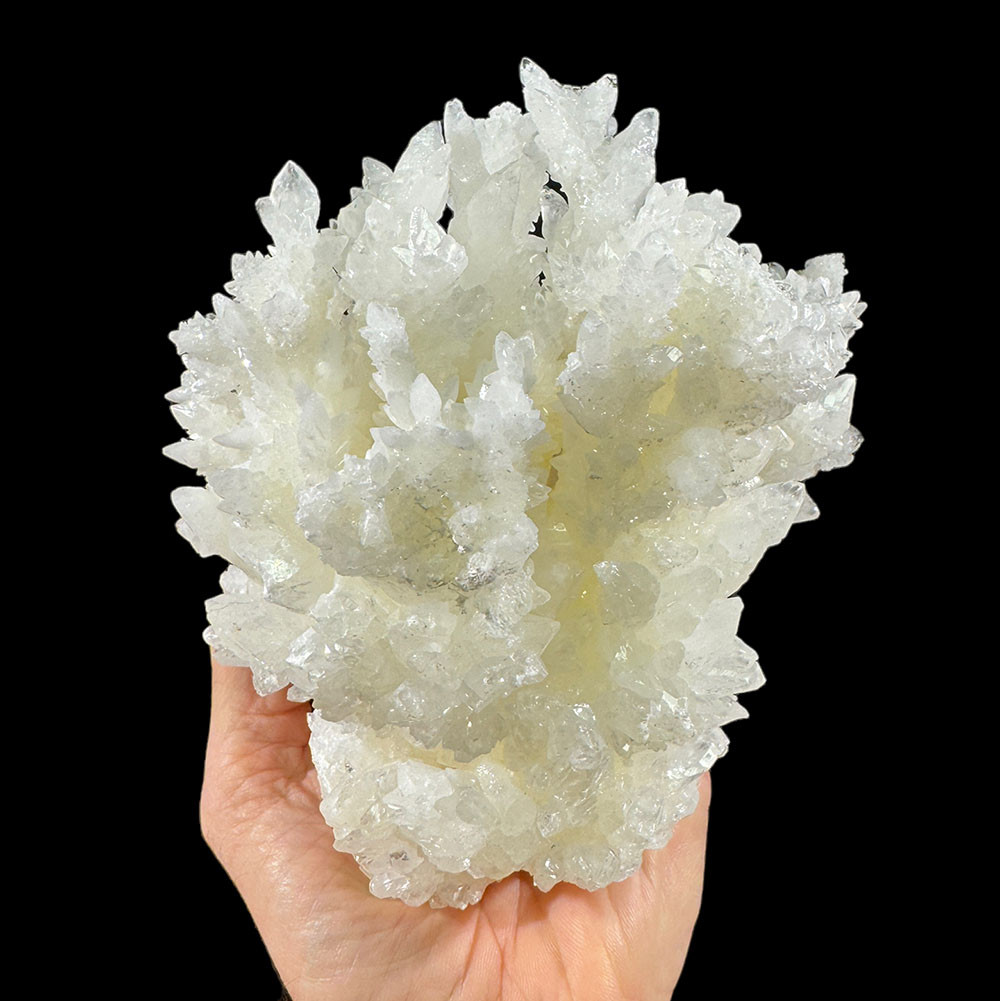 Cave Calcite (aragonite) For Sale | Fossilsplus.com/Pangaea Industries