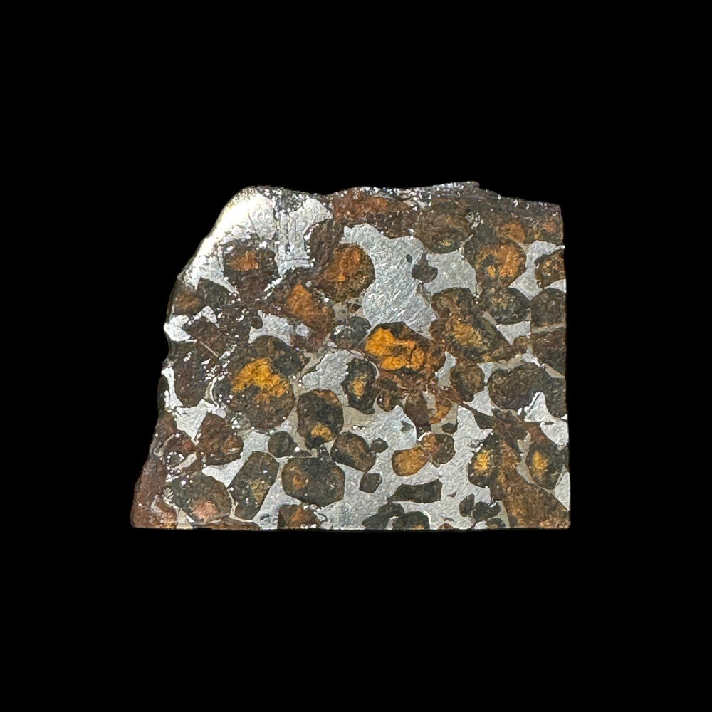 Sericho pallasite meteorite for sale | Fossilsplus.com