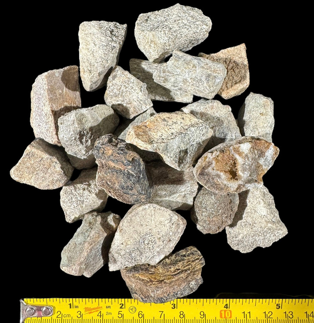 Bulk Rough Dinosaur Bone – Authentic Fossils for Learning and Exploration