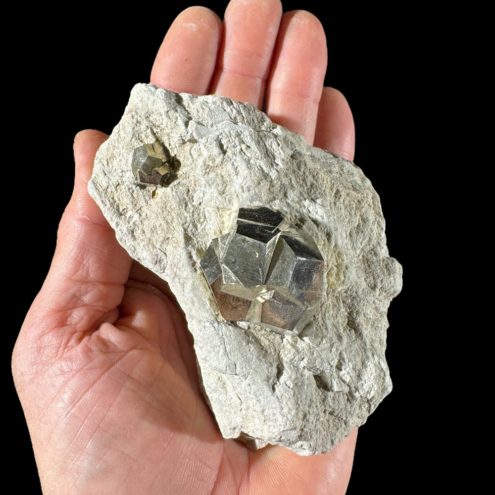 Pyritohedral cluster for sale | Fossilsplus/Pangaea Industries