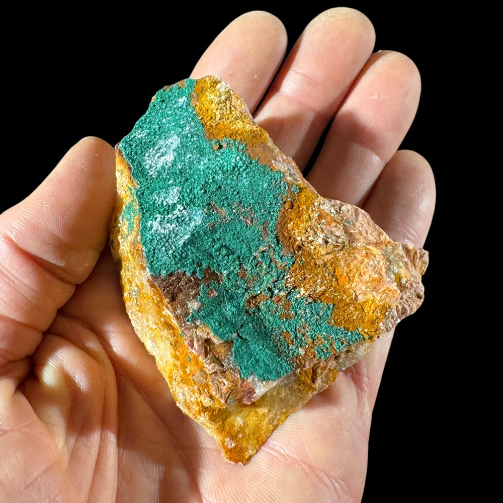 Malachite specimen from Morocco for sale | Fossilsplus/Pangaea Industries