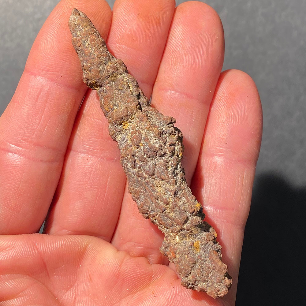 Fossilized turtle Coprolite For Sale | Fossilsplus