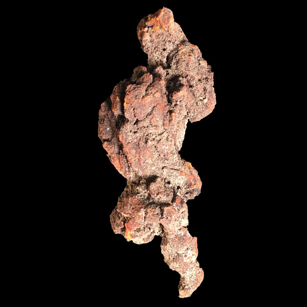 Fossilized turtle Coprolite For Sale | Fossilsplus