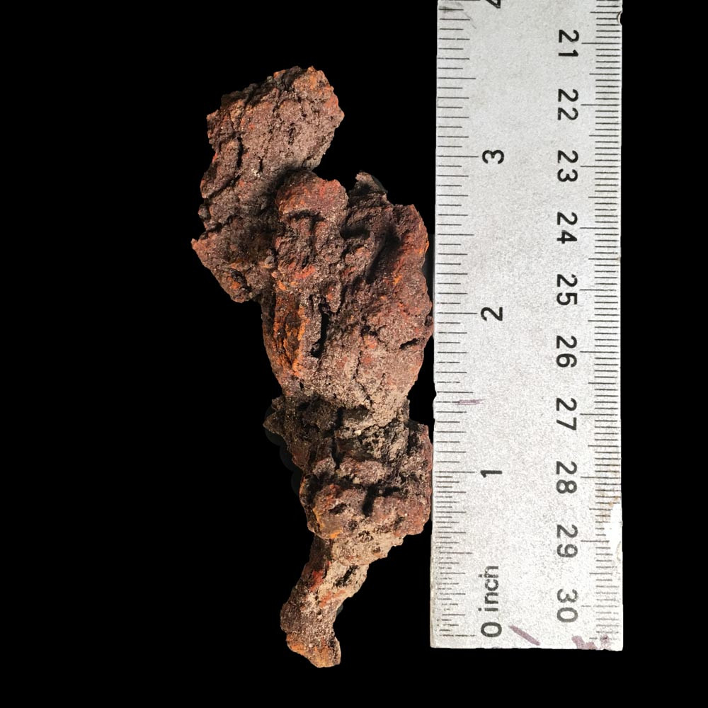 Fossilized turtle Coprolite For Sale | Fossilsplus