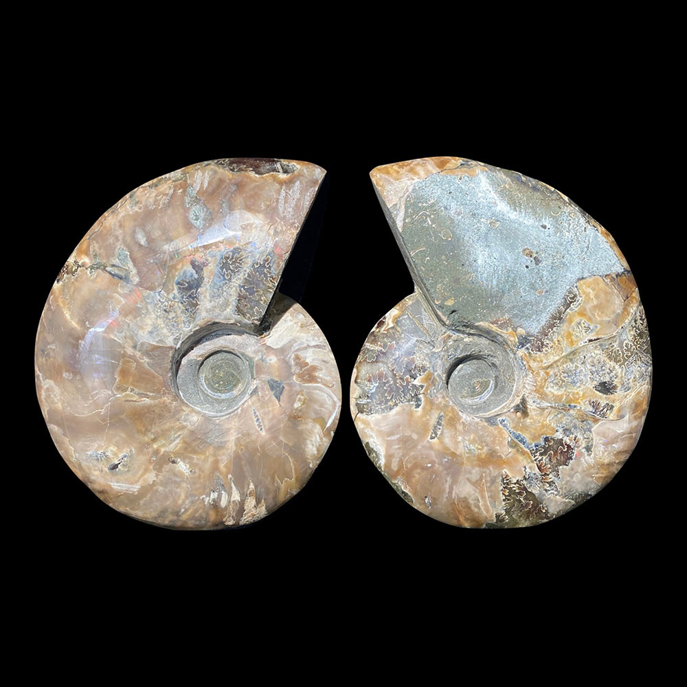 Ammonite split pair from Madagascar