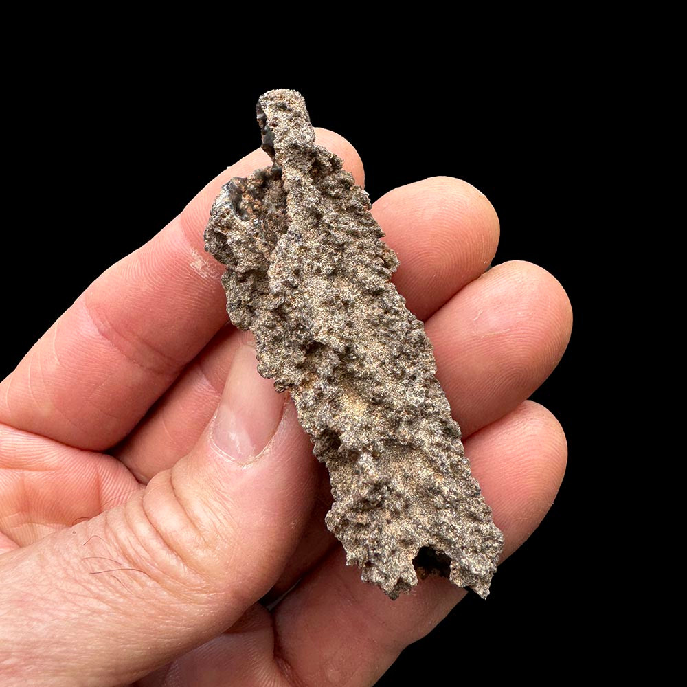 Fulgurite from Algeria