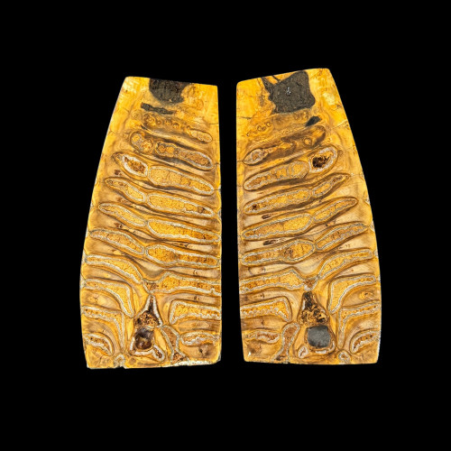 Unique and Durable Mammoth Tooth Scales: Elevate Your Knife or Craft ...