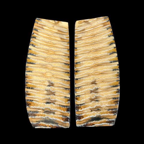 Unique and Durable Mammoth Tooth Scales: Elevate Your Knife or Craft ...