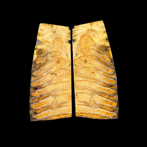 Mammoth tooth scales for sale | Fossilsplus/Pangaea Industries