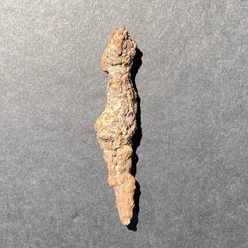 Fossilized turtle Coprolite For Sale | Fossilsplus