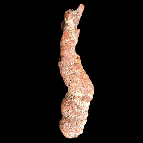 Fossilized turtle Coprolite For Sale | Fossilsplus