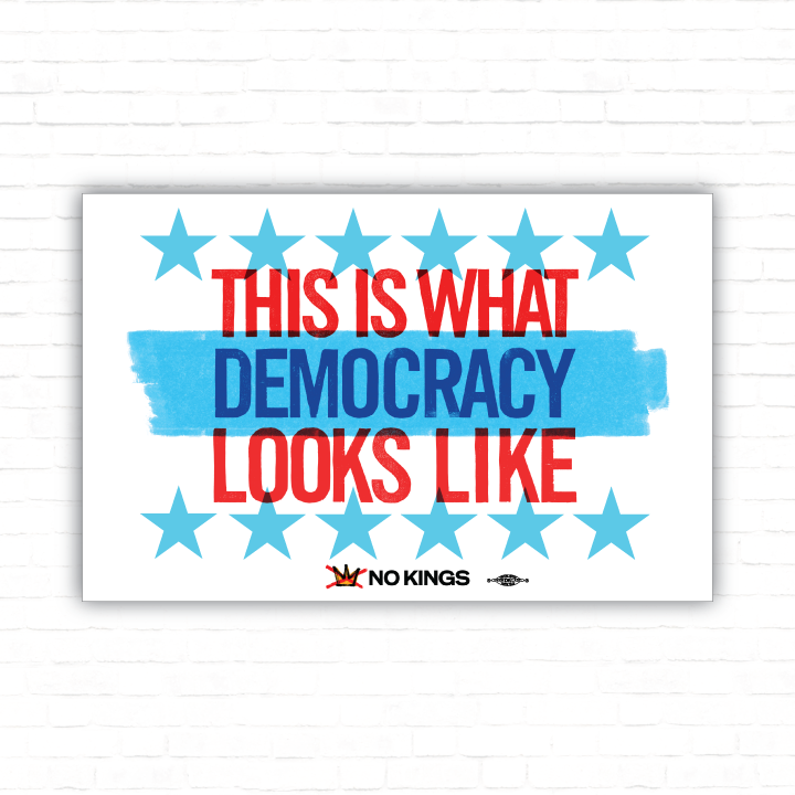What Democracy Looks Like (18" x 12" Rally Sign) - Indivisible Webstore