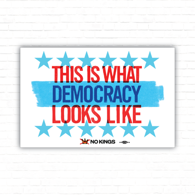 What Democracy Looks Like (18" x 12" Rally Sign) - Indivisible Webstore